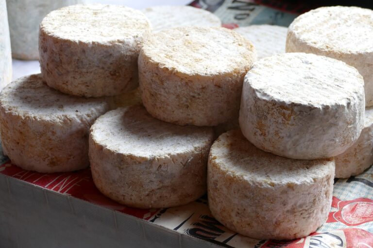 Les fromages français: French Cheeses - The Language Garage